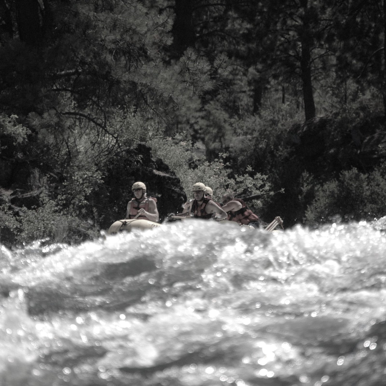 Welcome to the Bend Fire and Rescue Training website. In these pages